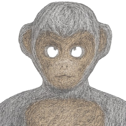Monkey Buddys